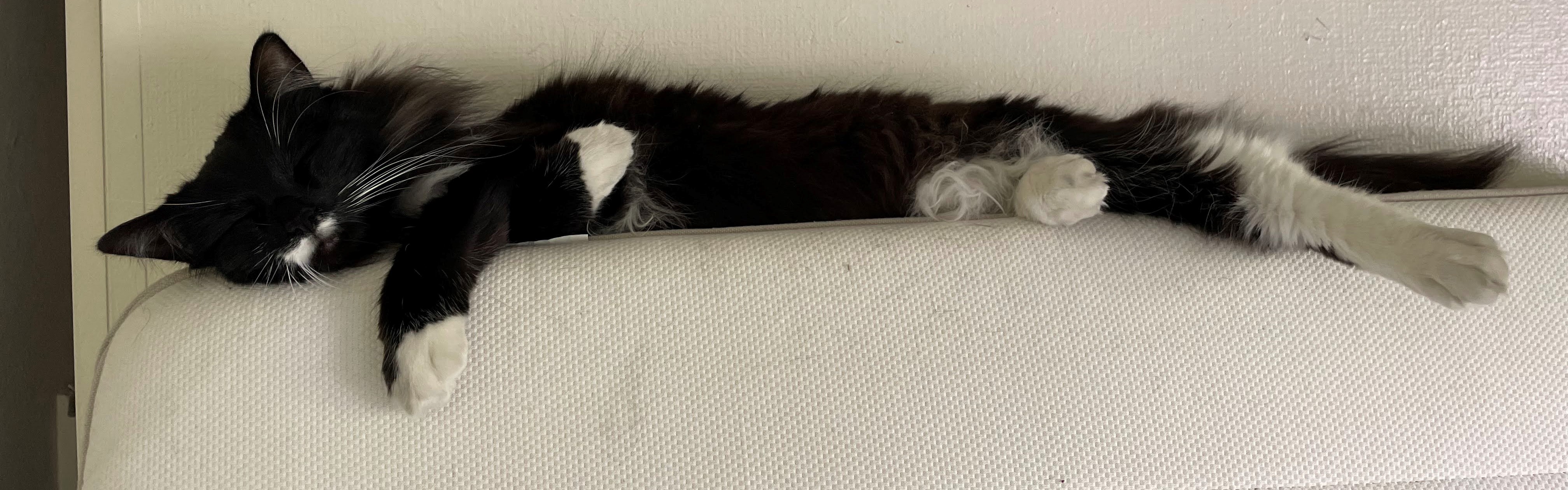 Research | Ryu Akiba